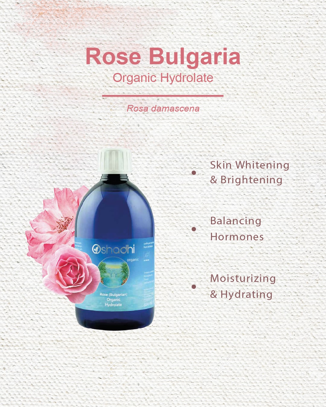 Rose (Bulgarian) Organic Hydrolate
